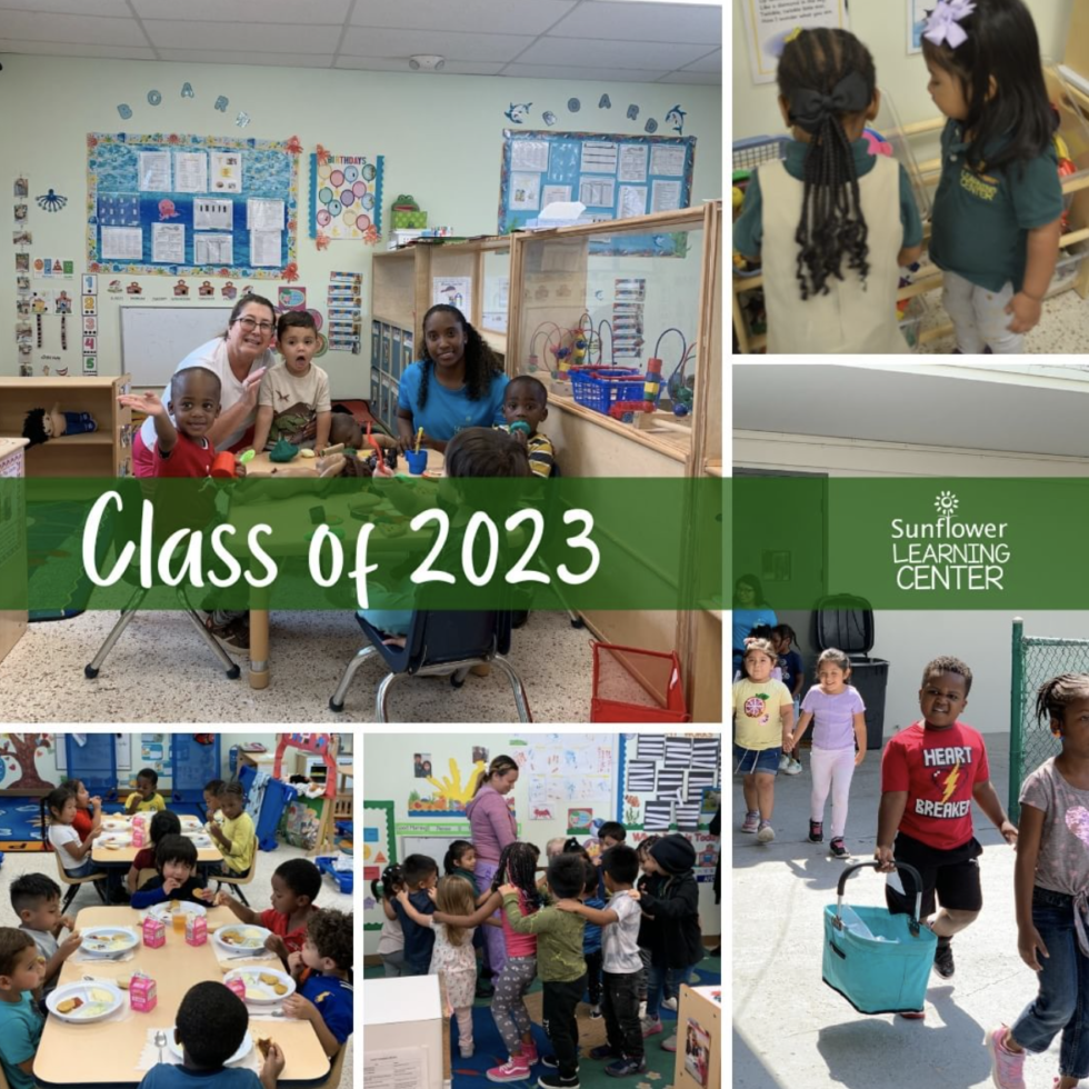 Blog | Sunflower Learning Center